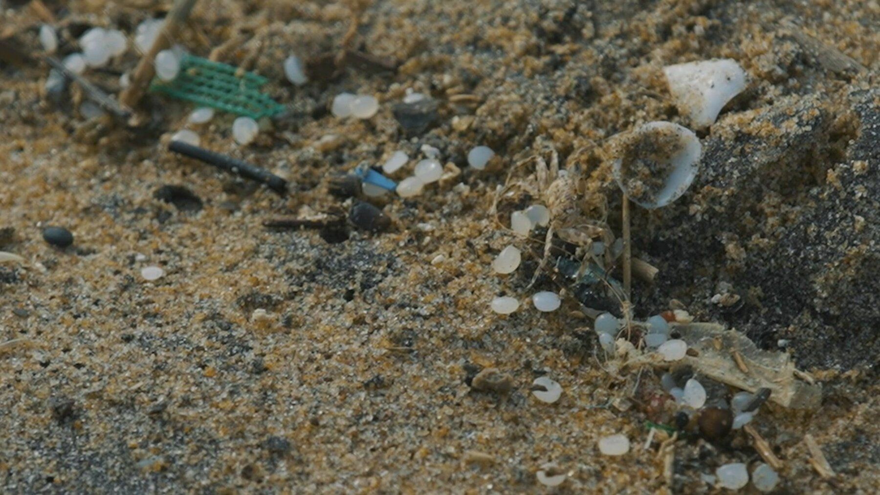 Nurdles - BeachTech